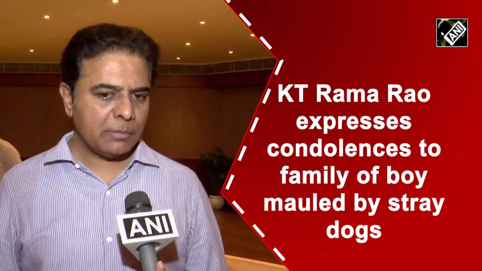 KT Rama Rao expresses condolences to family of boy mauled by stray dogs
