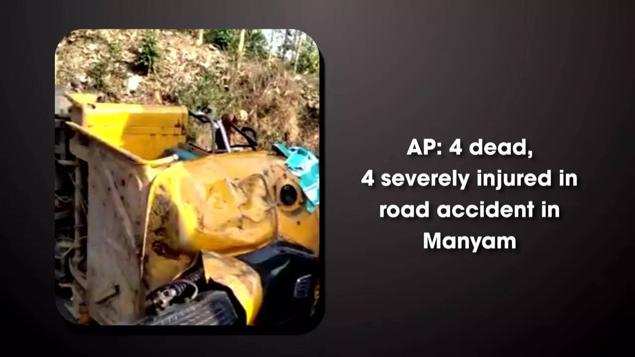 AP: 4 dead, 4 severely injured in road accident in Manyam