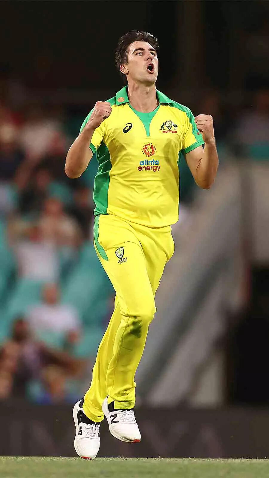 Australia ODI Squad Vs India: Glenn Maxwell, Mitchell Marsh back as ...