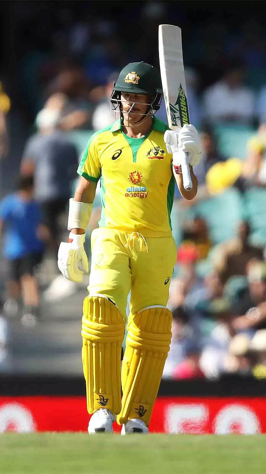 Australia ODI Squad Vs India: Glenn Maxwell, Mitchell Marsh back as ...
