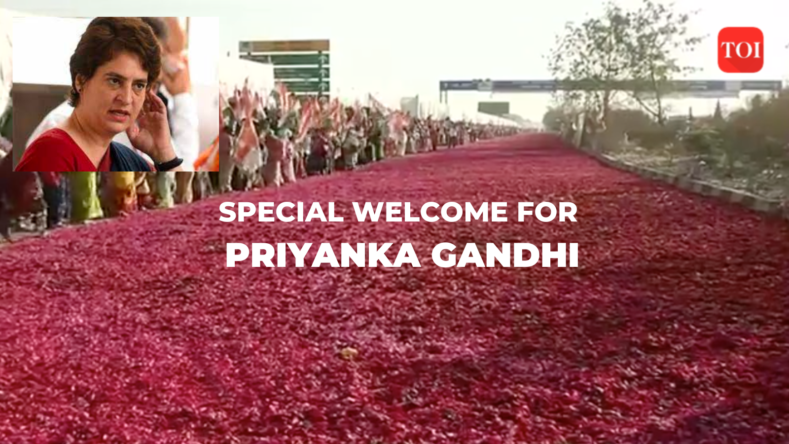 85th Congress plenary session: Supporters use flower petals to welcome ...