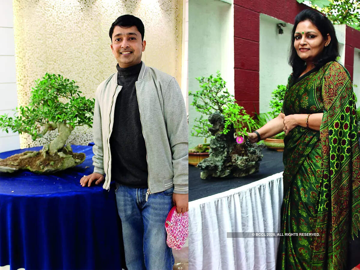 Fun and learn for these bonsai enthusiasts | Events Movie News - Times of India
