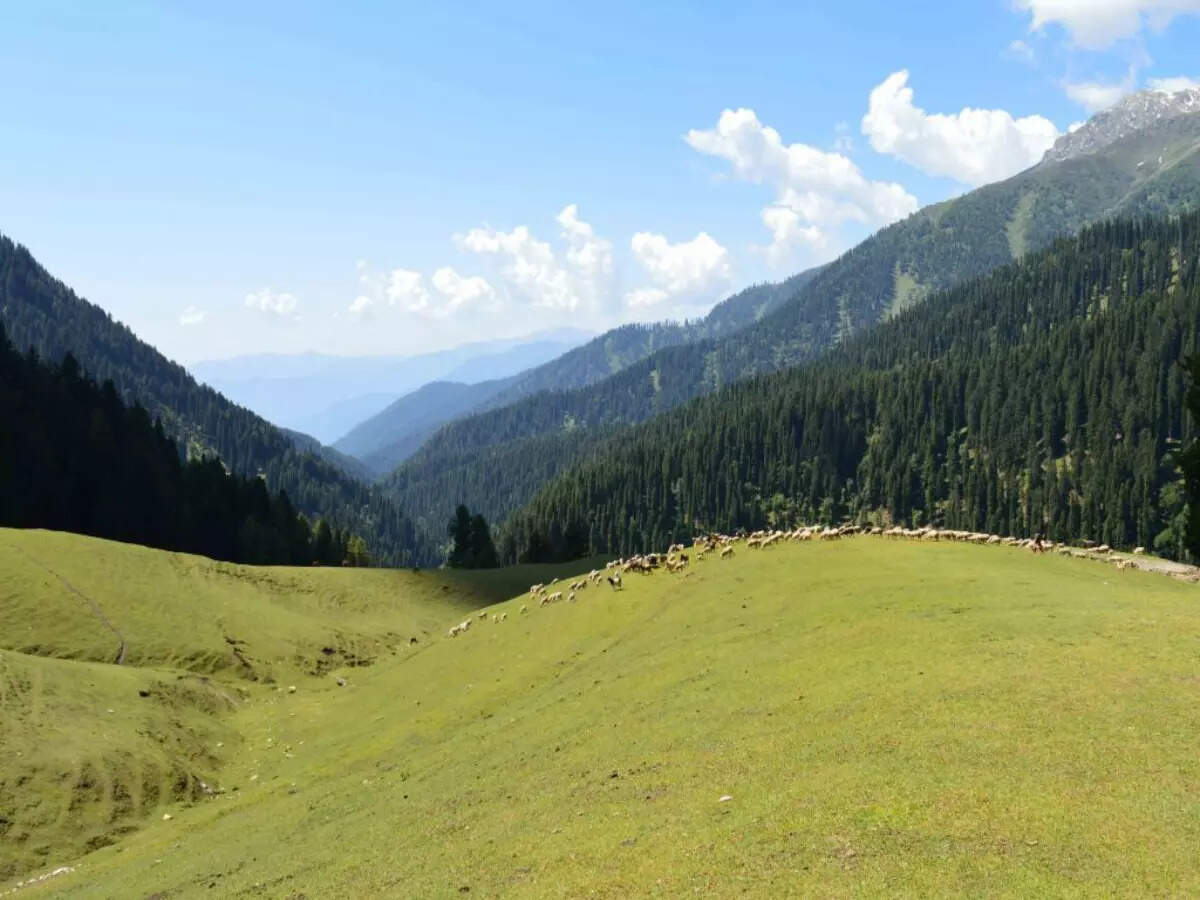 Did you know about this offbeat destination in Kashmir? | Times of ...