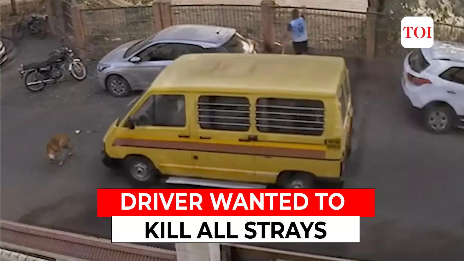 CCTV footage: School van runs over a street dog, FIR filed a month later