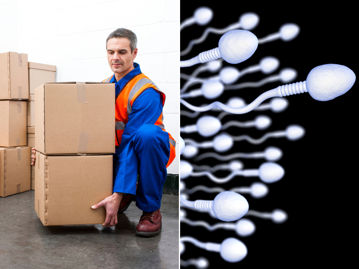 Men who deal with lifting or moving heavy objects at work have more ...