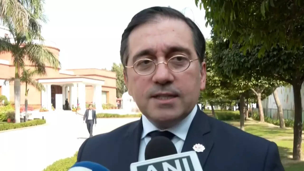 Spanish FM lauds India’s efforts over Ukraine war, says ‘making great ...