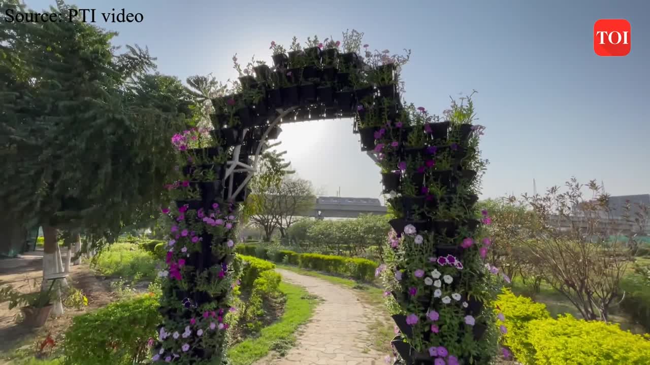 botanical garden: Botanical Garden in Noida organises Annual flower show