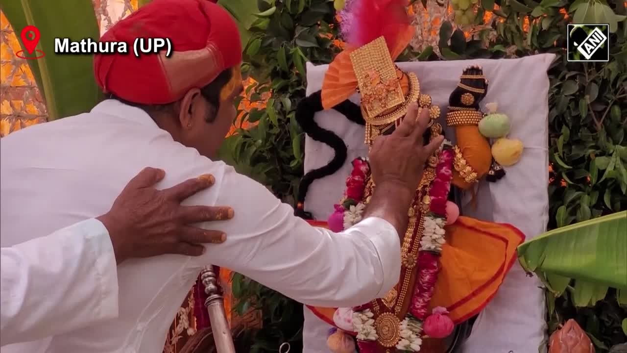 sharnagati ashram: UP: Devotees participate in Holi celebrations at ...