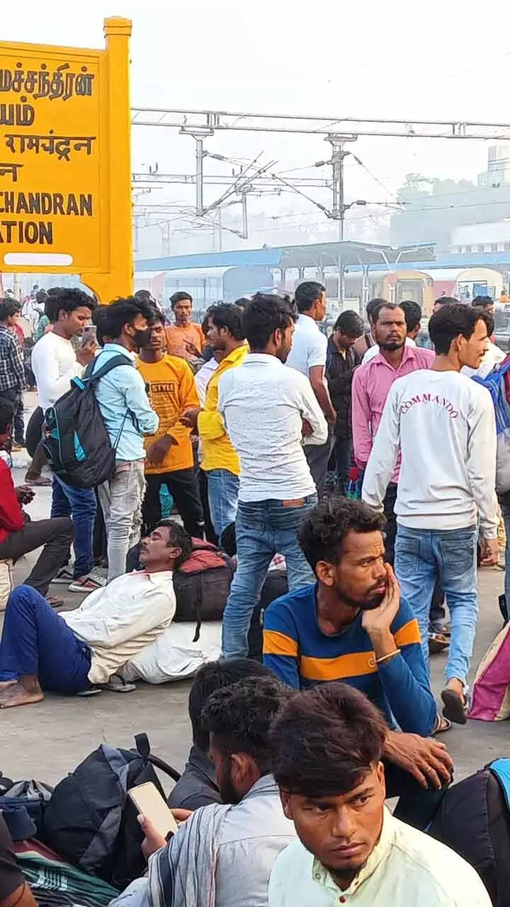 Tamil Nadu Migrant Workers: Headcount, helplines seek to reassure guest ...