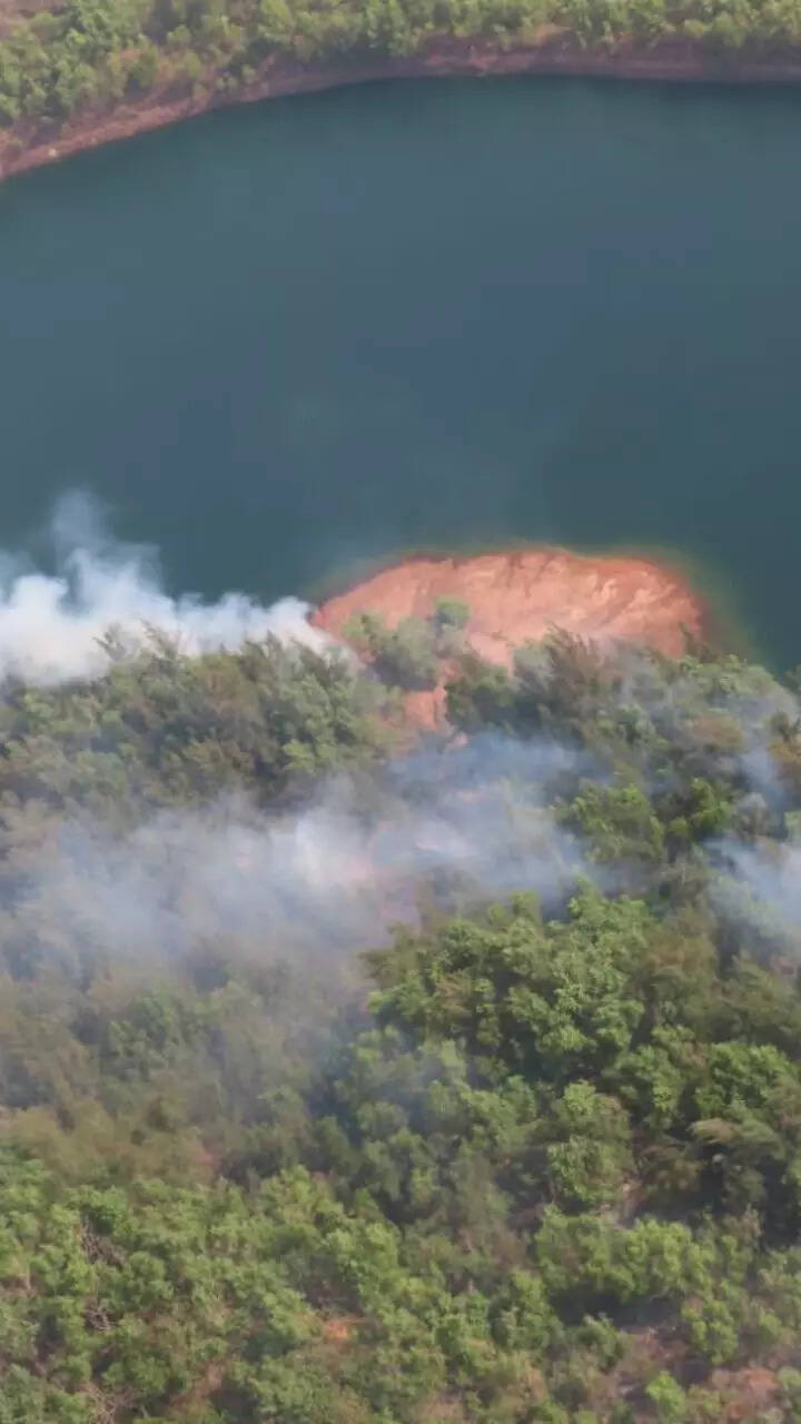 Goa Forest Fire News: Worst fires in Goa’s history burn down rare ...