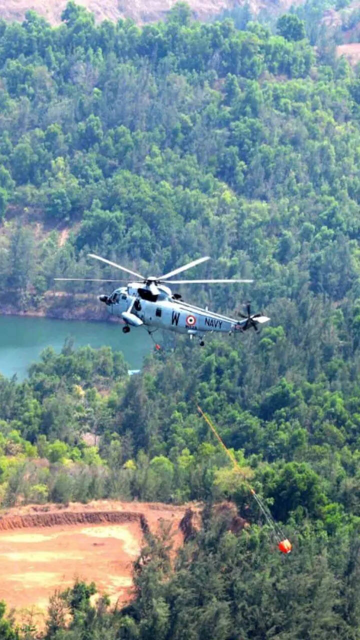 Goa Forest Fire News: Worst fires in Goa’s history burn down rare ...