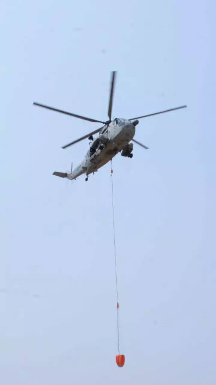 Goa Forest Fire News: Worst fires in Goa’s history burn down rare ...