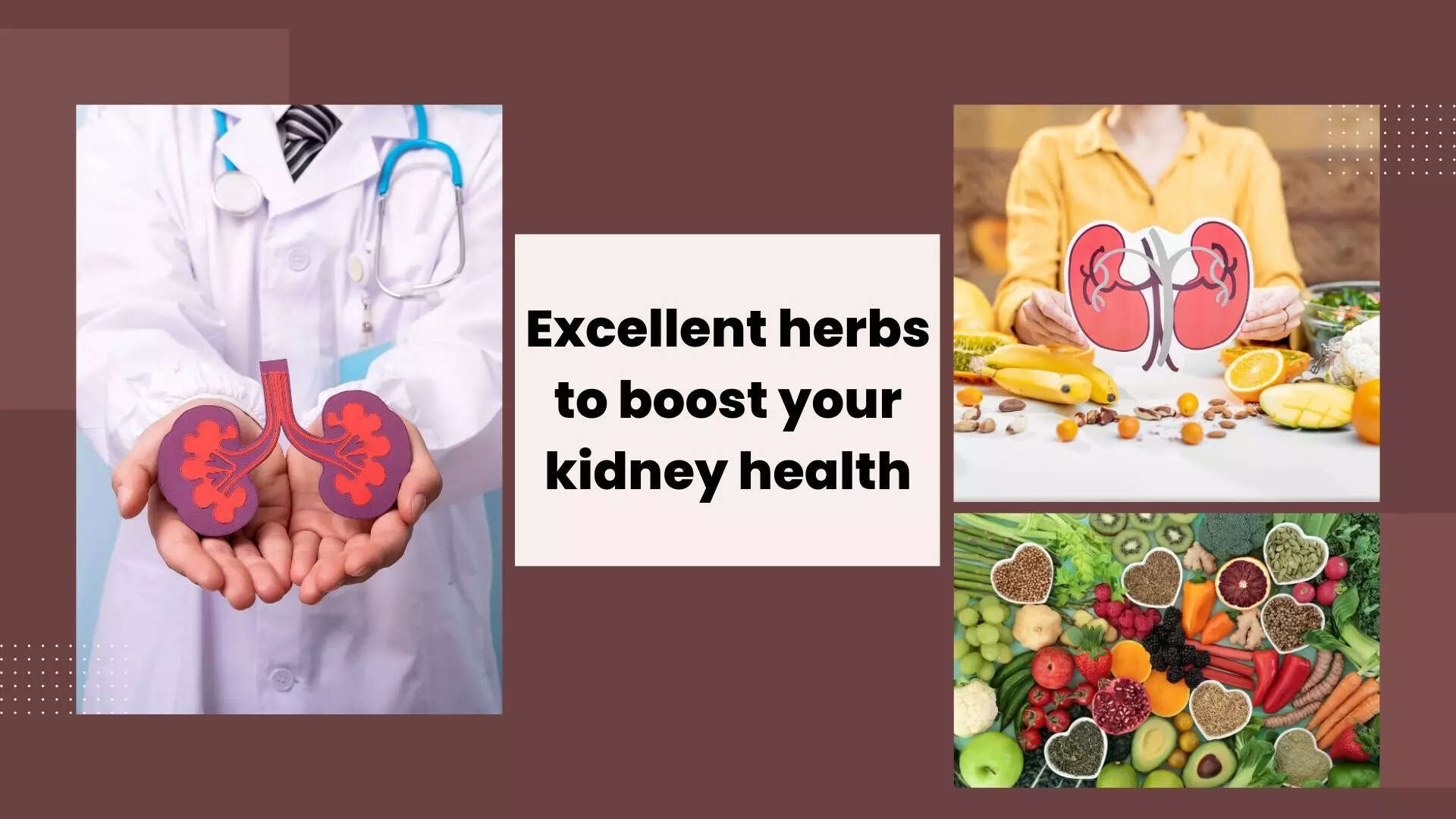 Excellent herbs to boost your kidney health