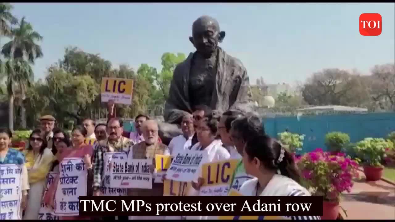 TMC MPs hold protest over Adani row