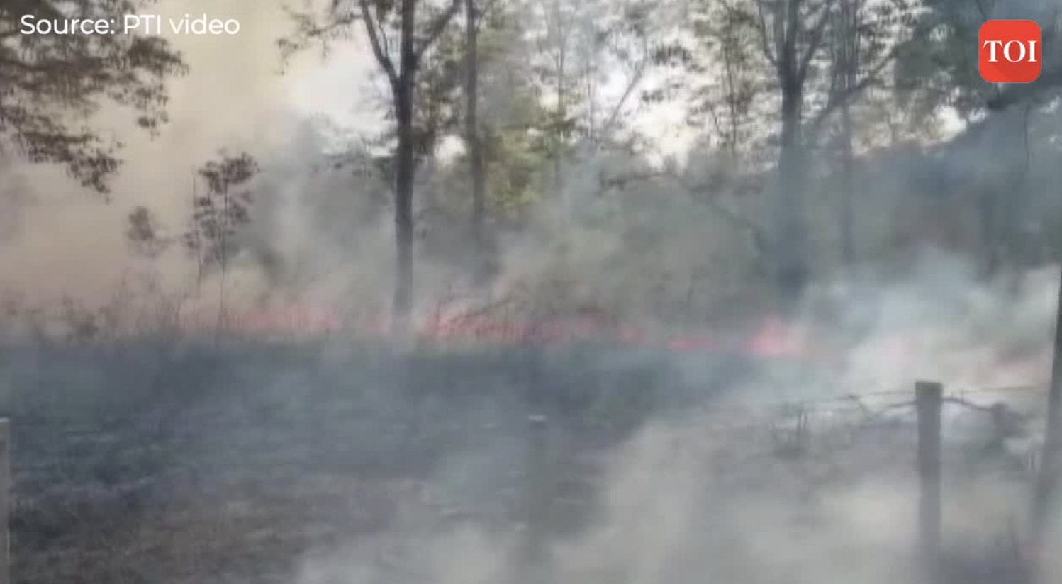 Assam: Fire in the forests of Sonitpur