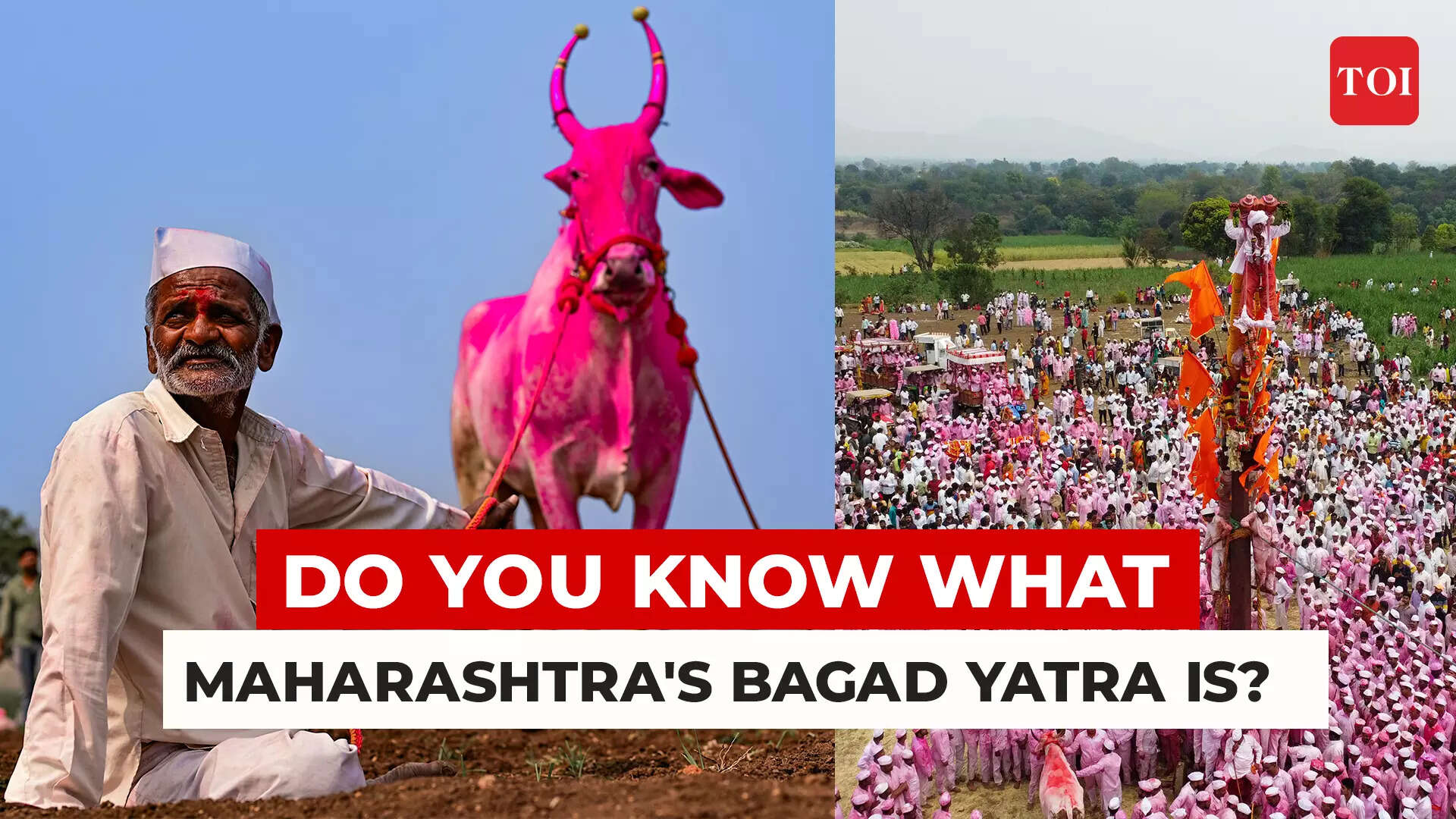Bagad Yatra 2023: History, significance and rituals of Maharashtra's ...