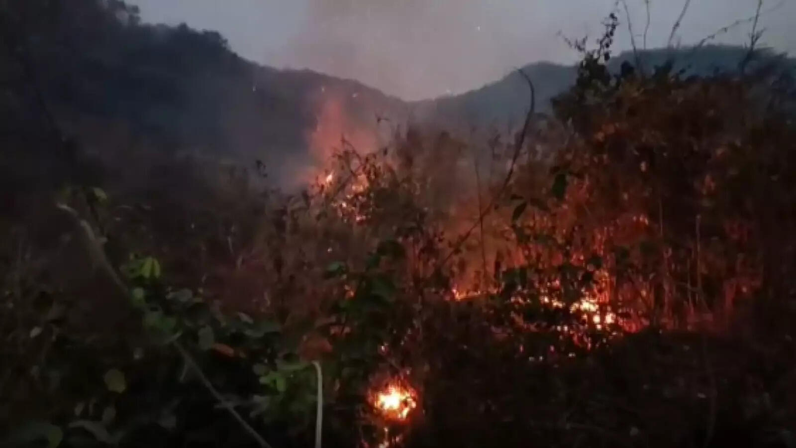 odisha: Wildfires rage in protected forest areas of Odisha