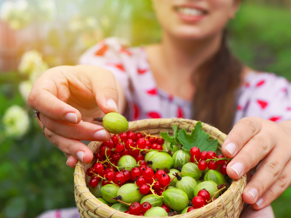 UTI Prevention Foods To Eat When Suffering From A Urinary Tract