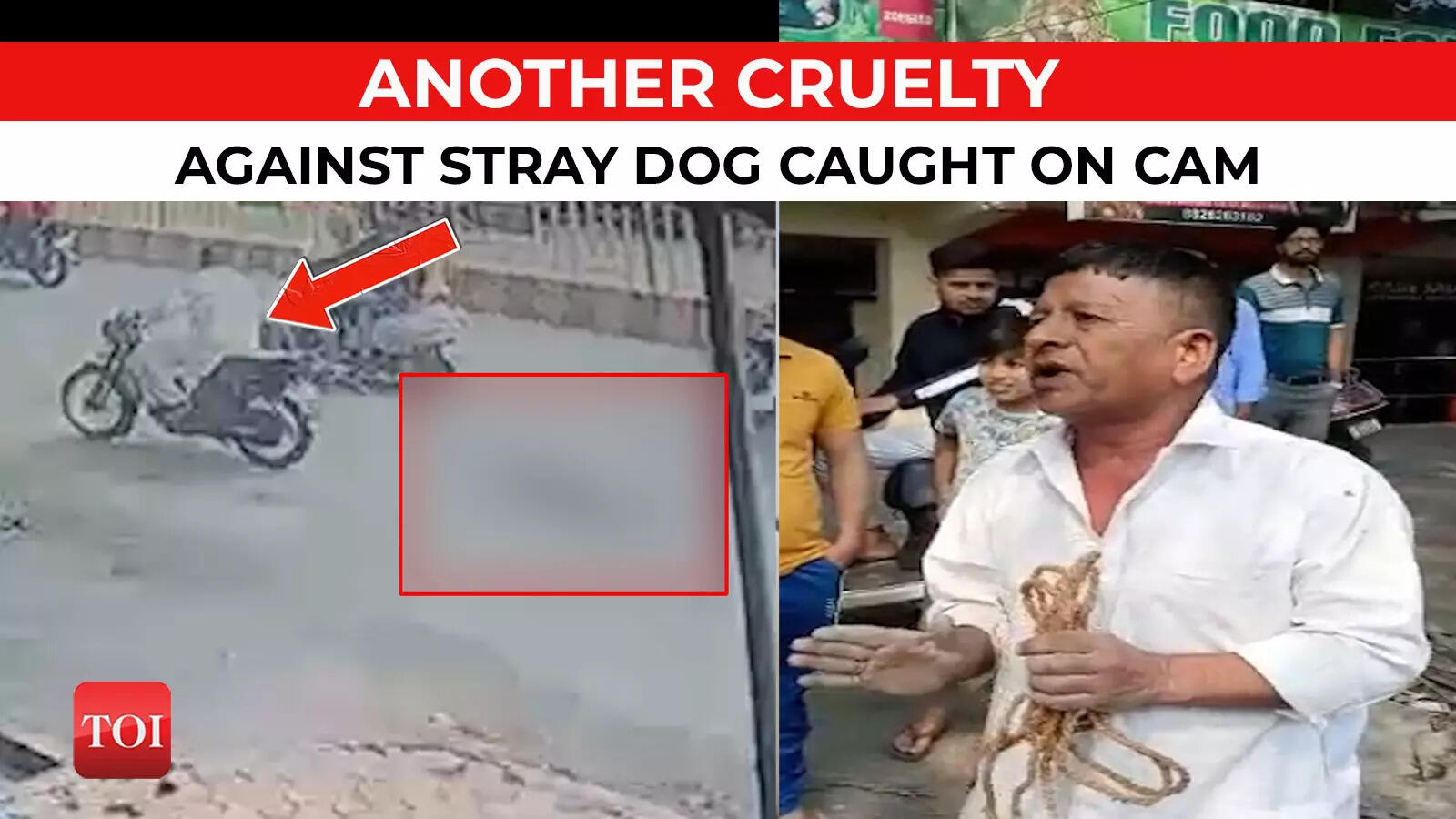 On Cam: Another cruelty against stray dog, man ties dog to his bike ...