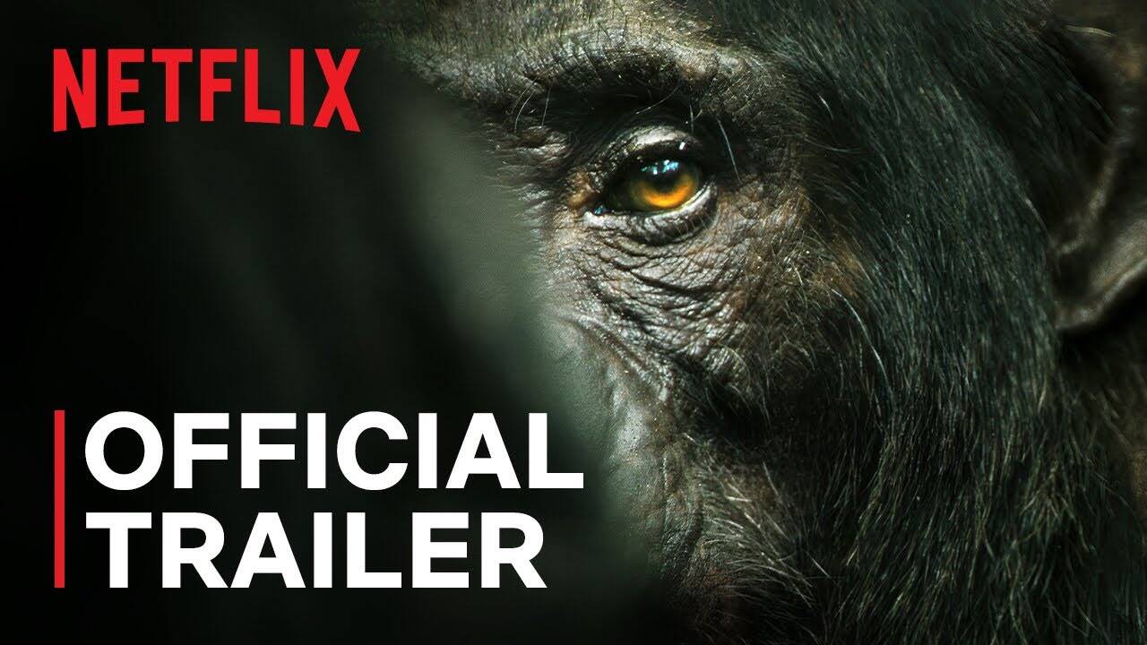 'Chimp Empire' Trailer: Mahershala Ali starrer 'Chimp Empire' Official ...