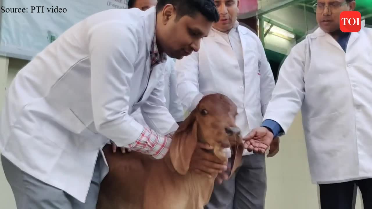 First cloned calf of GIR cow breed christened 'Ganga'