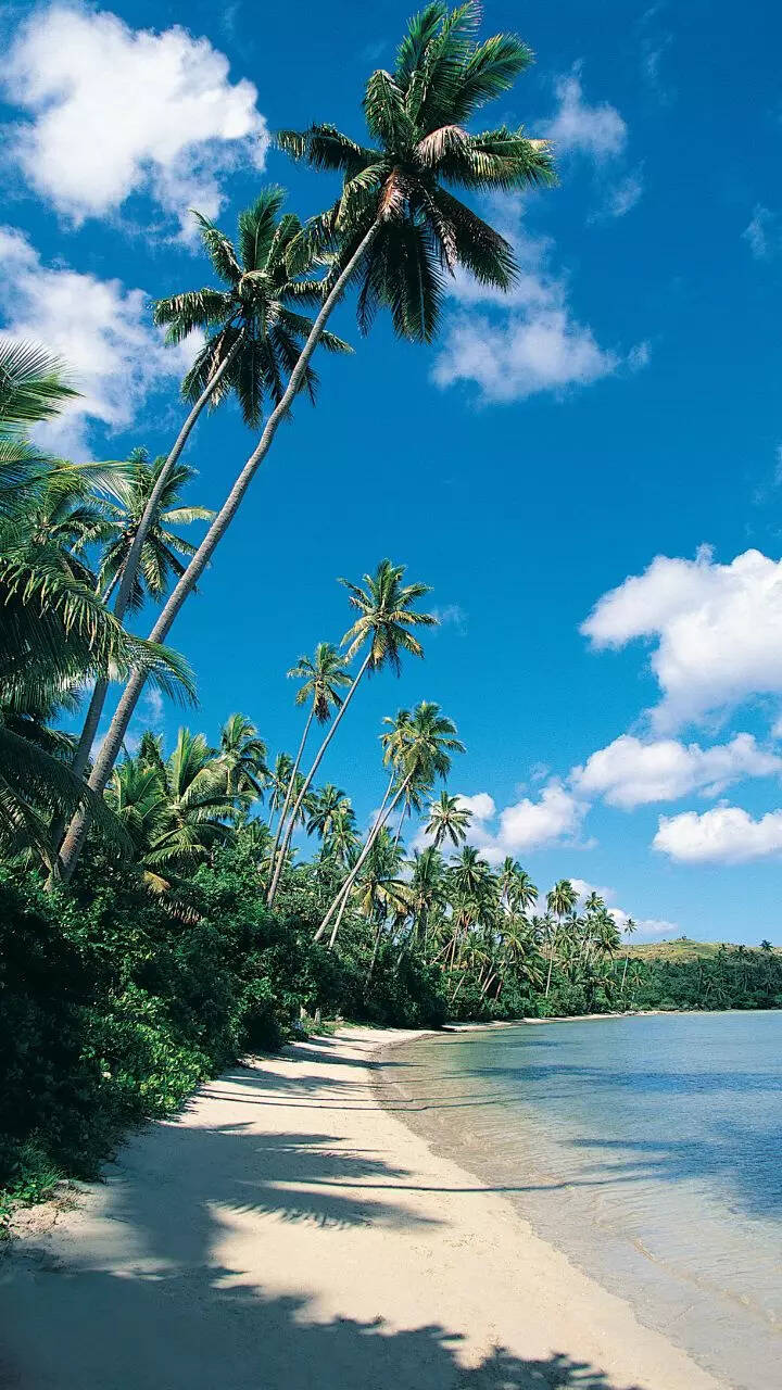 Fiji Islands Beach Nature