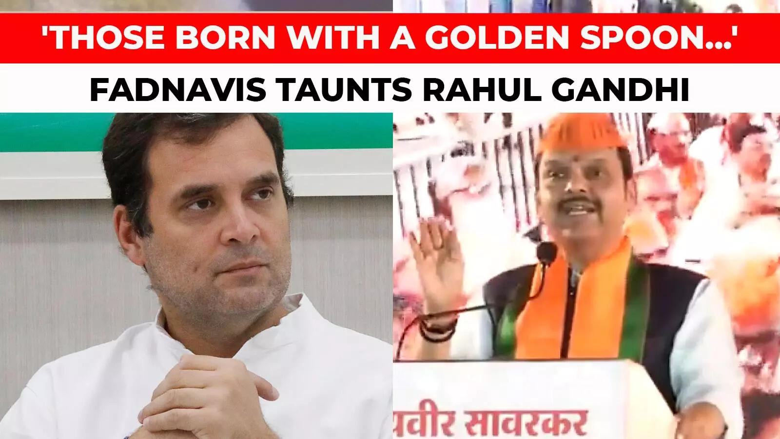 'Those born with a golden spoon,' Devendra Fadnavis on Rahul Gandhi