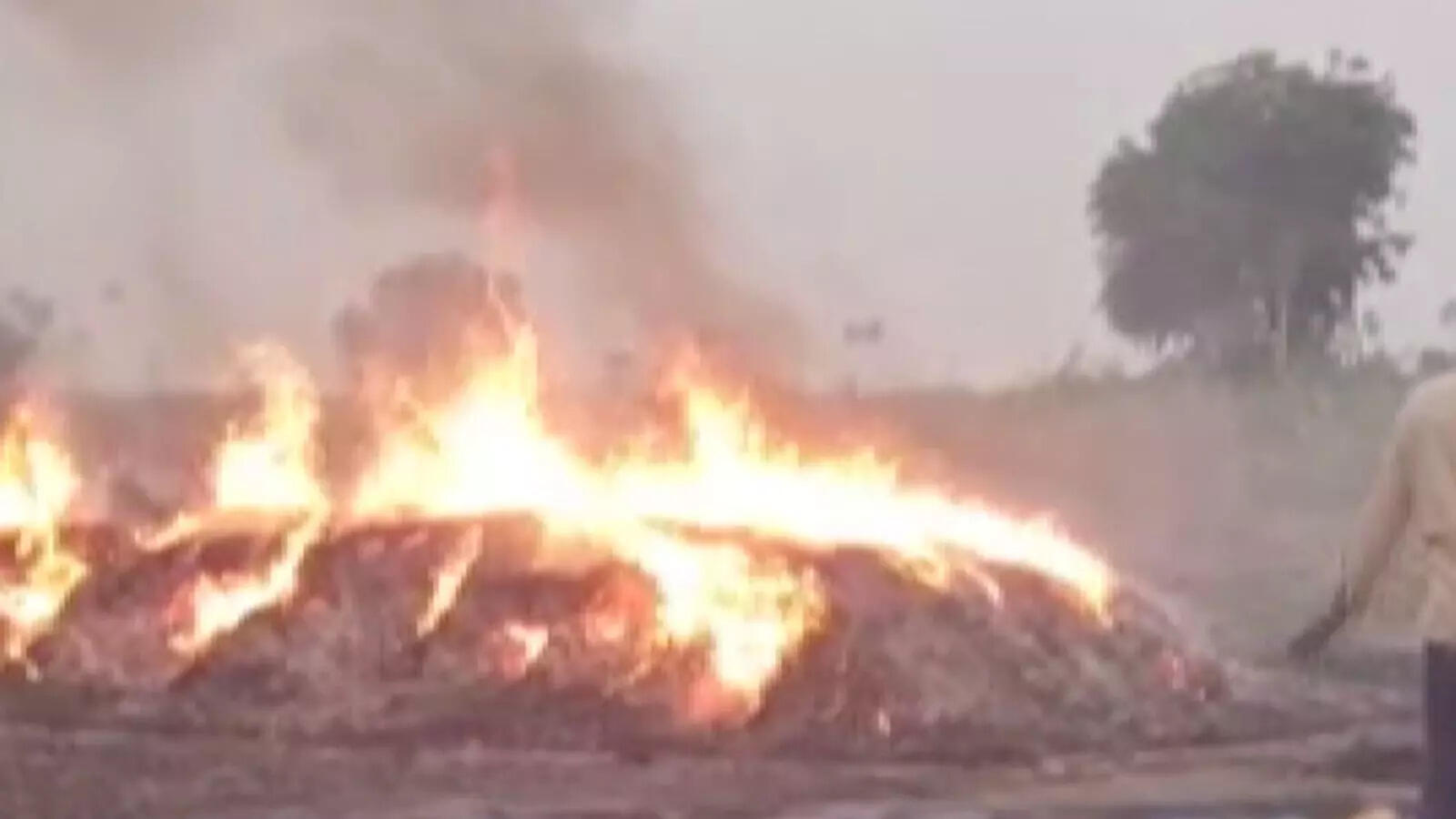 Andhra Pradesh: Unidentified persons set 50 quintals of red chillies on ...