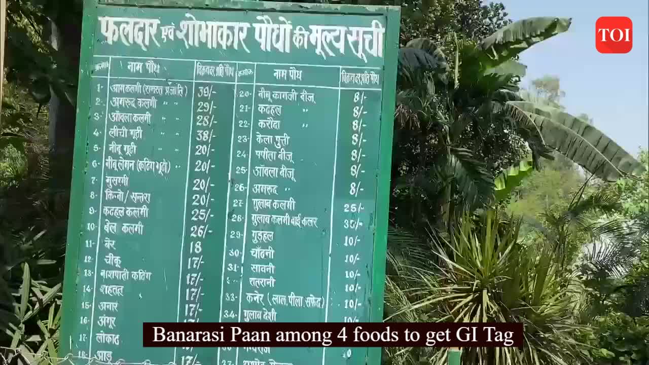 Banarasi Paan among 4 Varanasi foods get GI tag