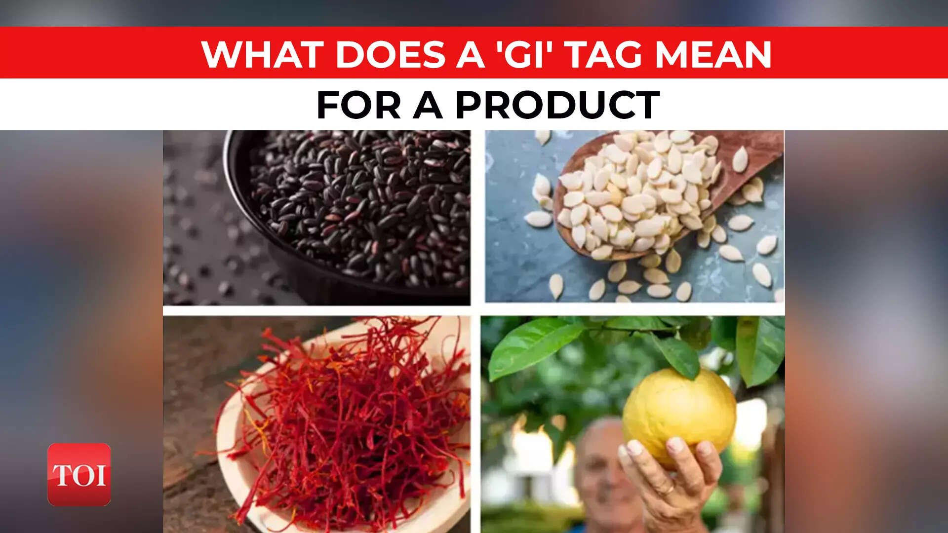 What does a 'GI' tag mean for a product; Who gives this tagging? All ...