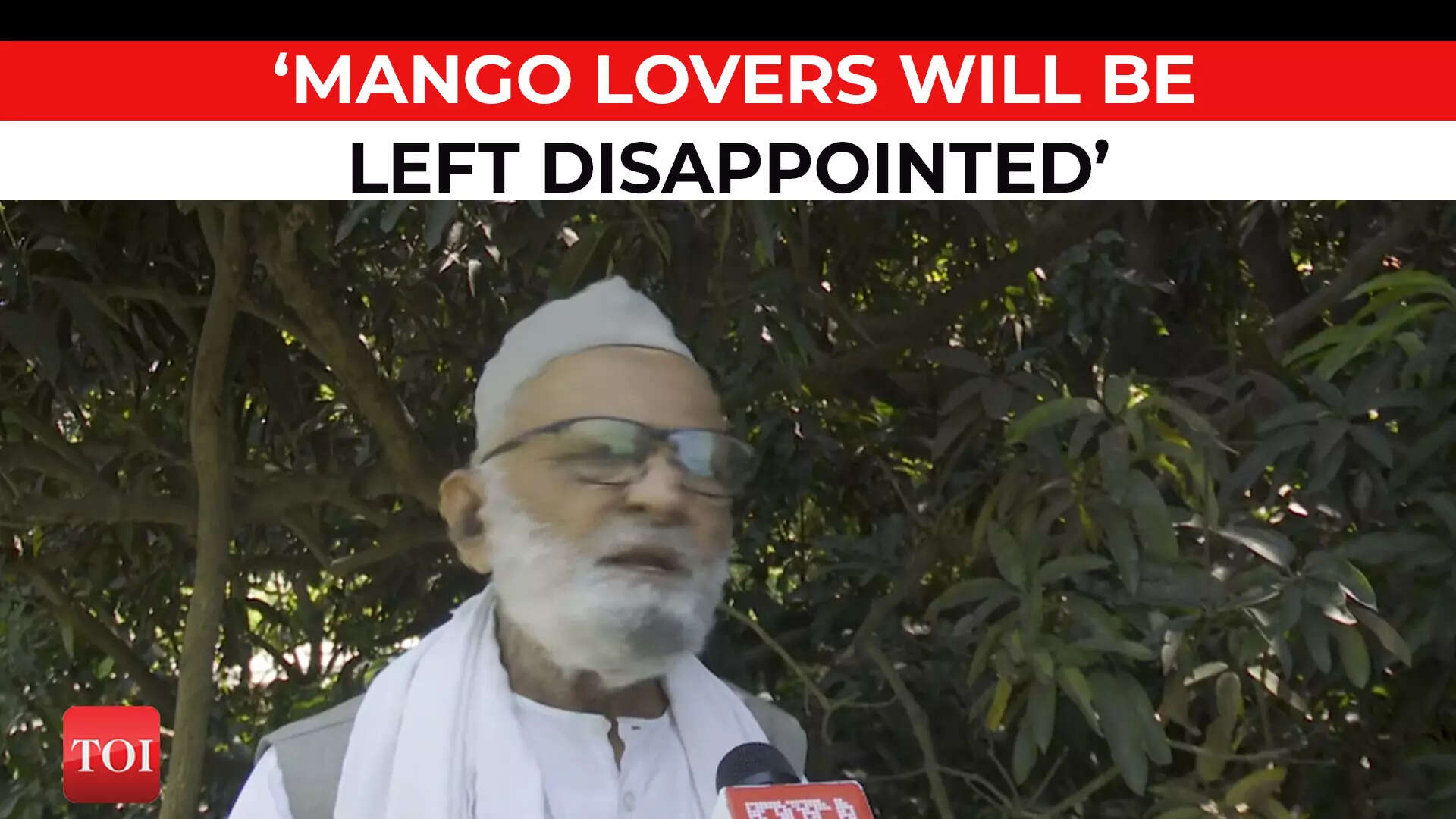 India's mango man Haji Kalimullah Khan: ‘Unprecedented damage to mango ...