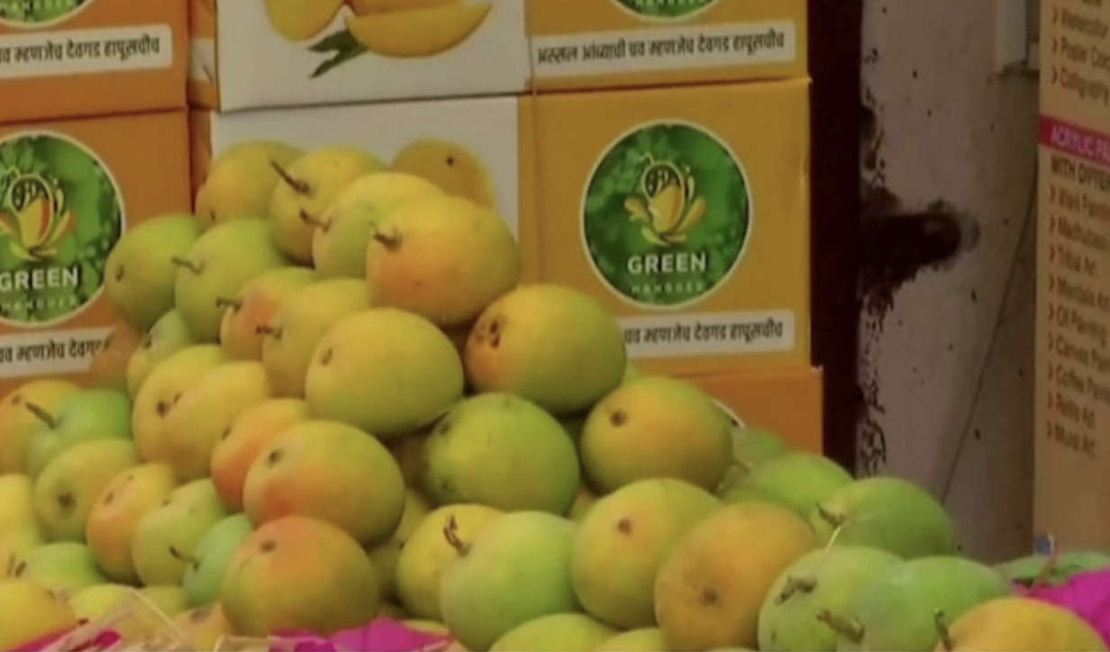 Pune mango seller introduces EMI payment option to woo customers