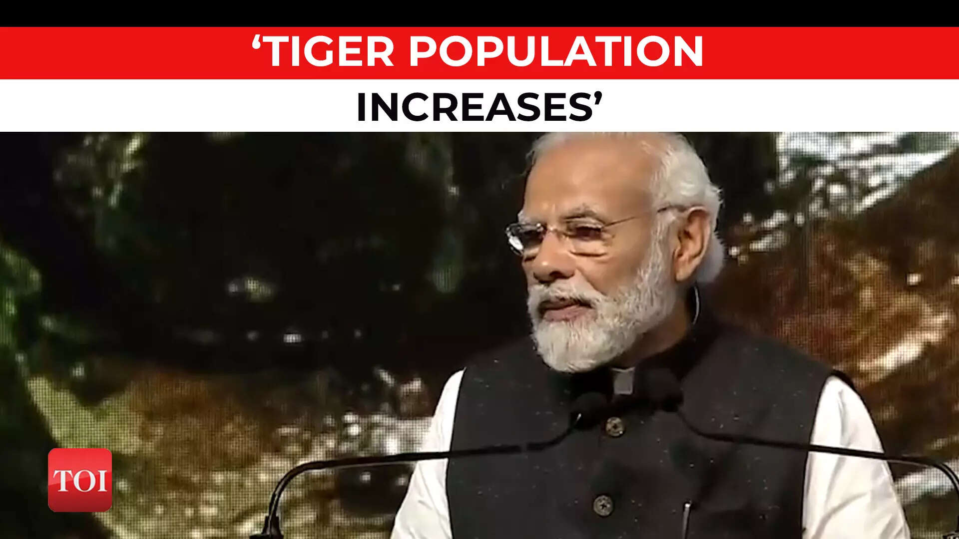 Tiger population increases to 3,167; PM says Project Tiger matter of ...