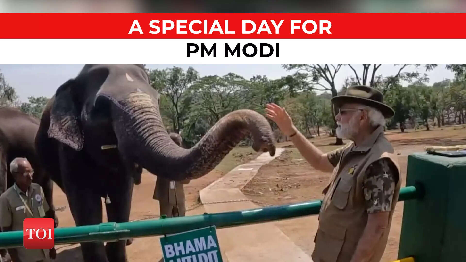 PM Narendra Modi shares highlights of his visit to Bandipur, Mudumalai ...