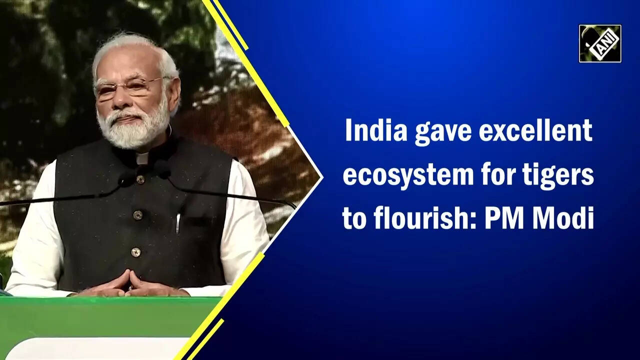 India gave excellent ecosystem for tigers to flourish: PM Modi