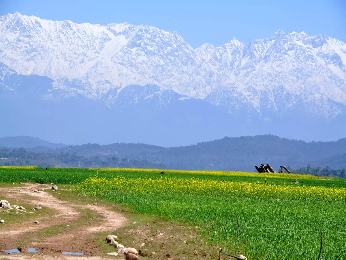 Himachal Pradesh to develop Kangra as state’s tourism capital, Himachal ...