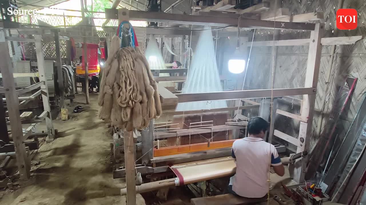 How one man's effort to save Assam's Muga silk