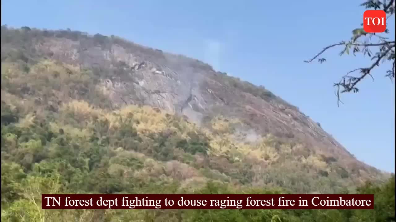 TN forest dept fighting to douse raging forest fire in Coimbatore