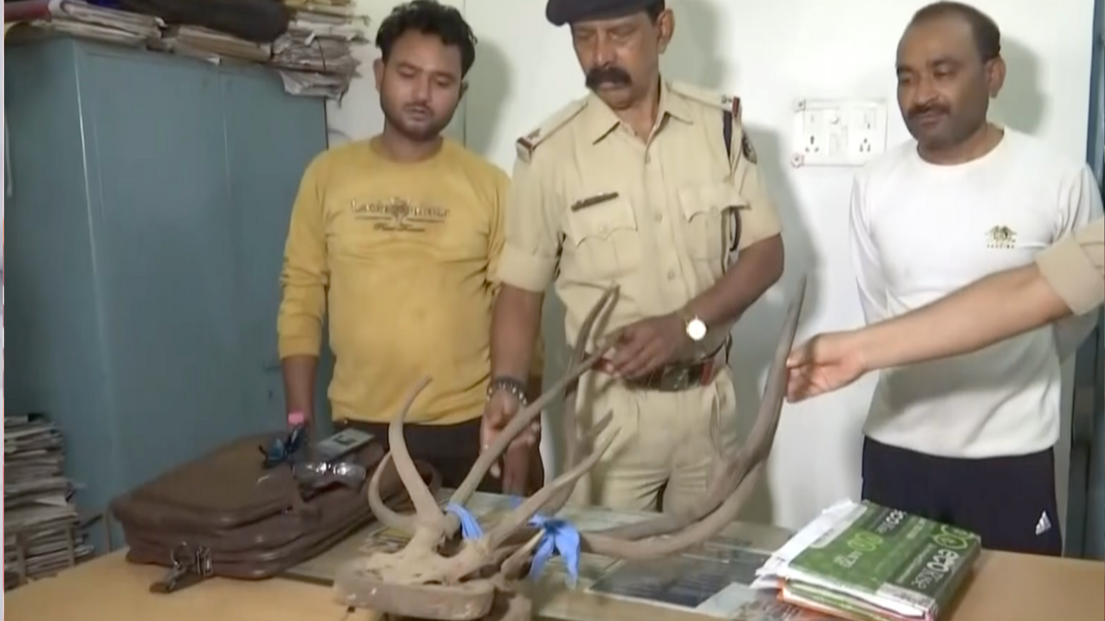 Chhattisgarh: Raipur police arrests 2 with swamp deer horns worth Rs 2. ...