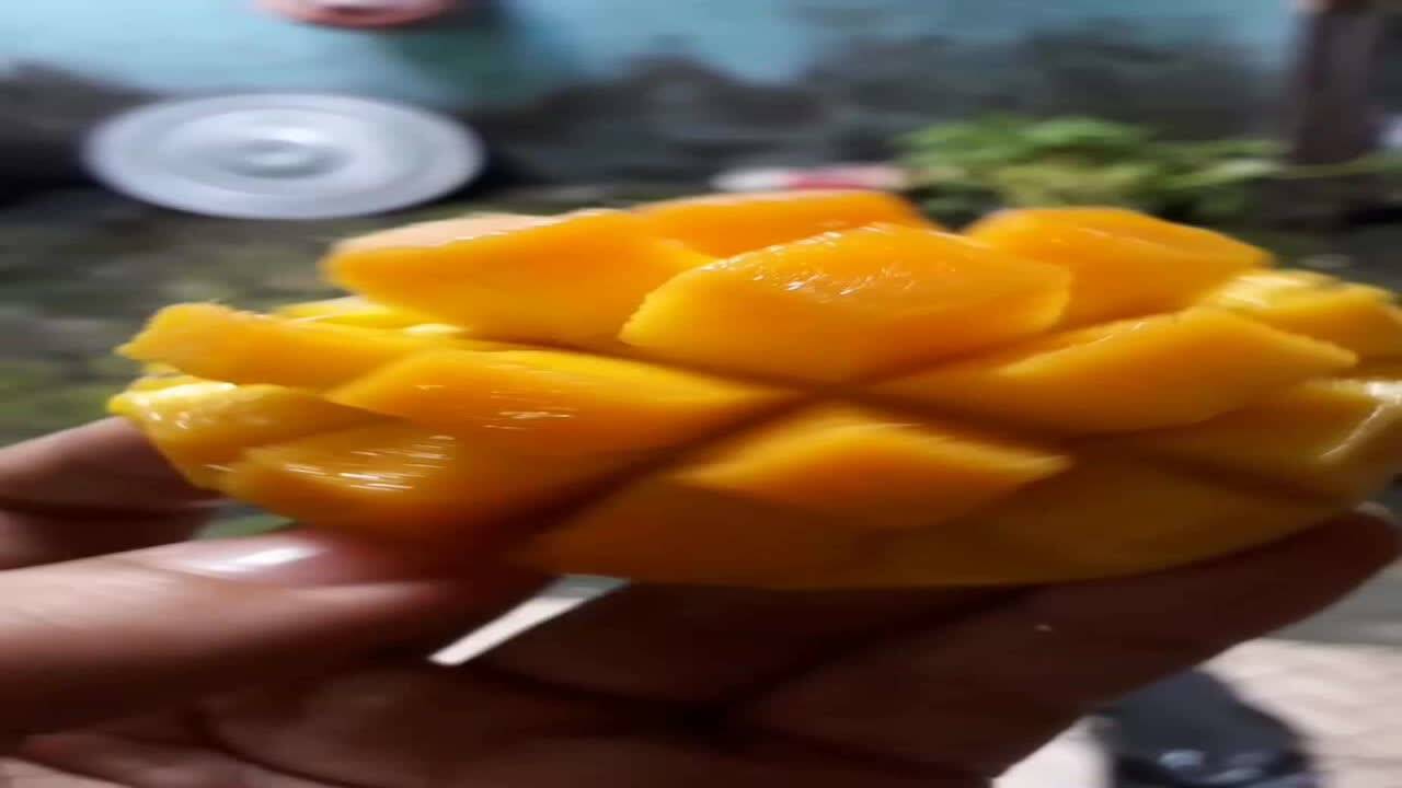 Mangoes - Times Food