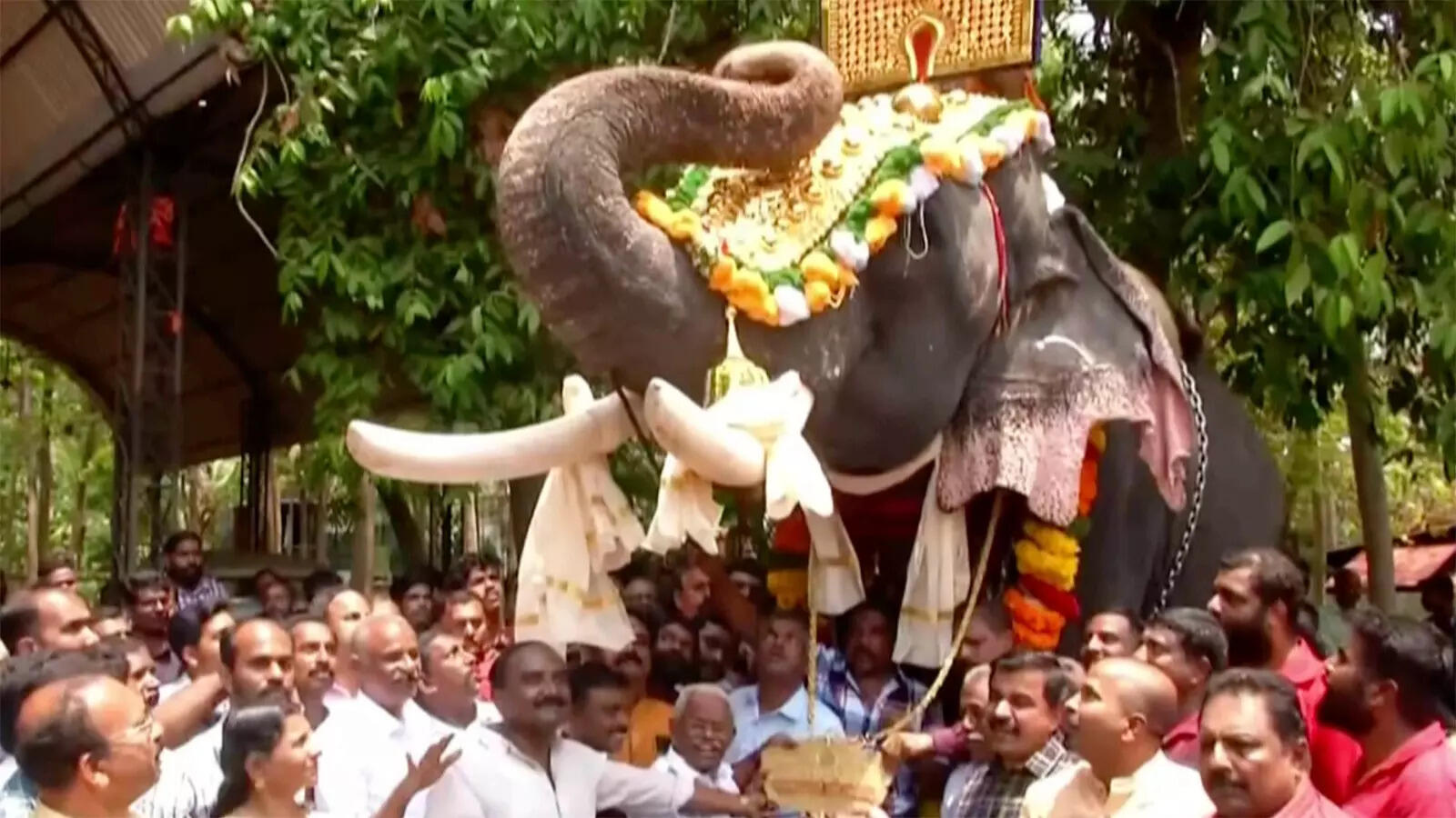 Kerala: Travancore Devaswom Board titles its elephant Thrikkadavoor ...