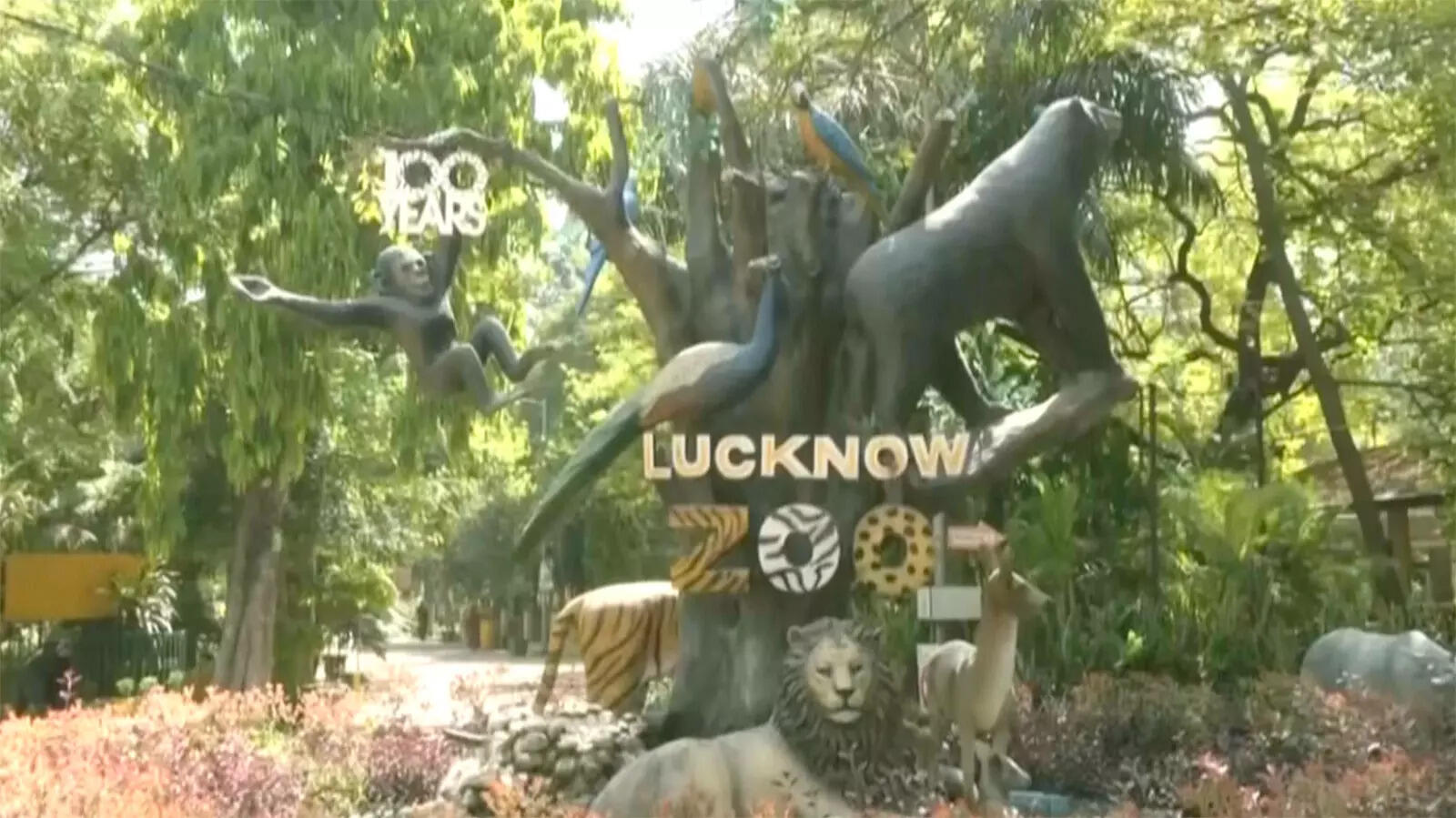 UP: Zoological Garden in Lucknow makes special arrangements for animals ...