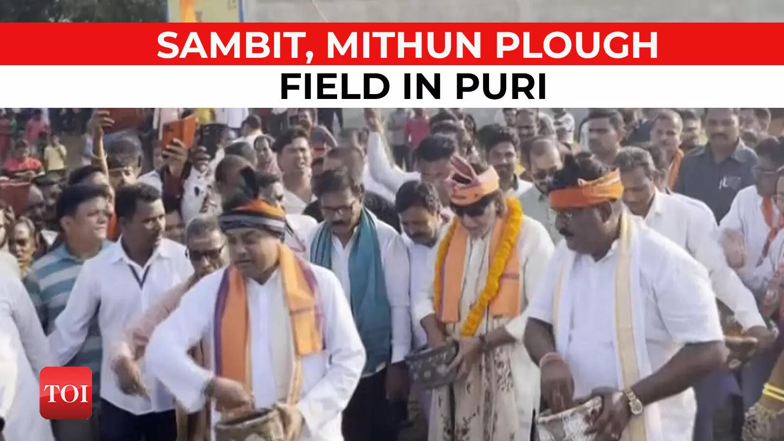 Odisha: Sambit Patra, Mithun Chakraborty plough, sown the field in Puri on Akshaya Tritiya