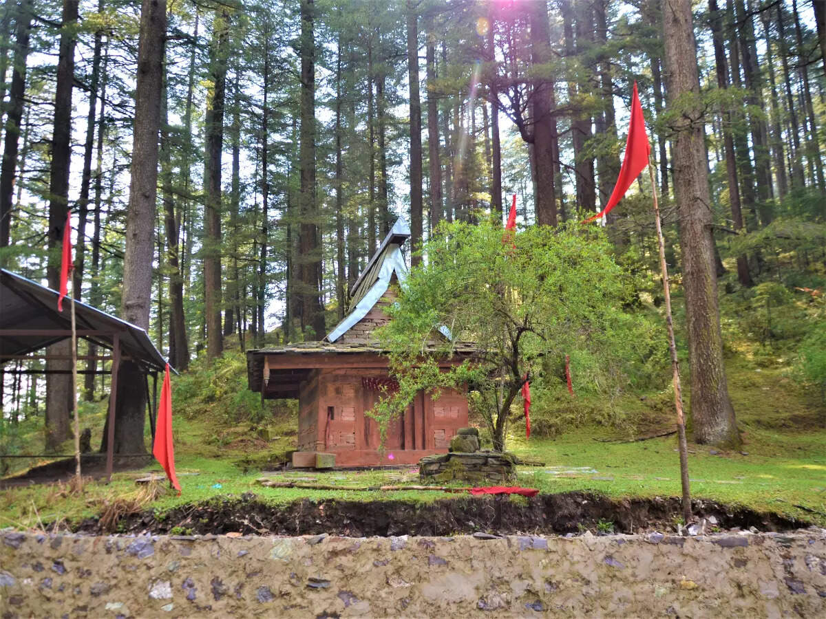 Unwind in the less-trodden paths of Cheog in Himachal, Himachal Pradesh ...