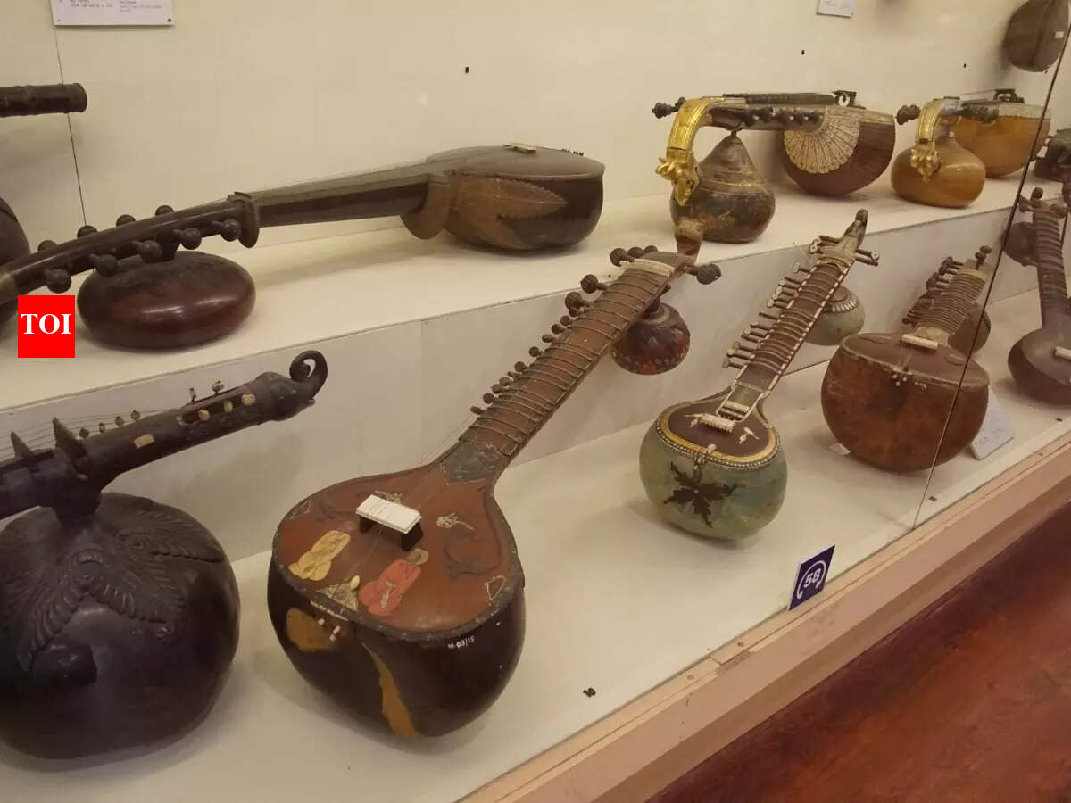 indian string instruments