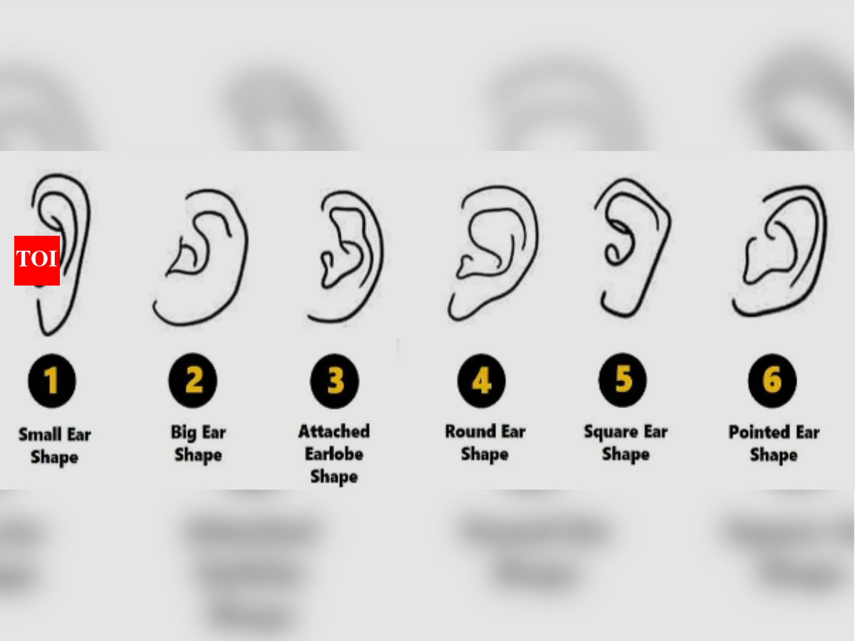 attached earlobes intelligence