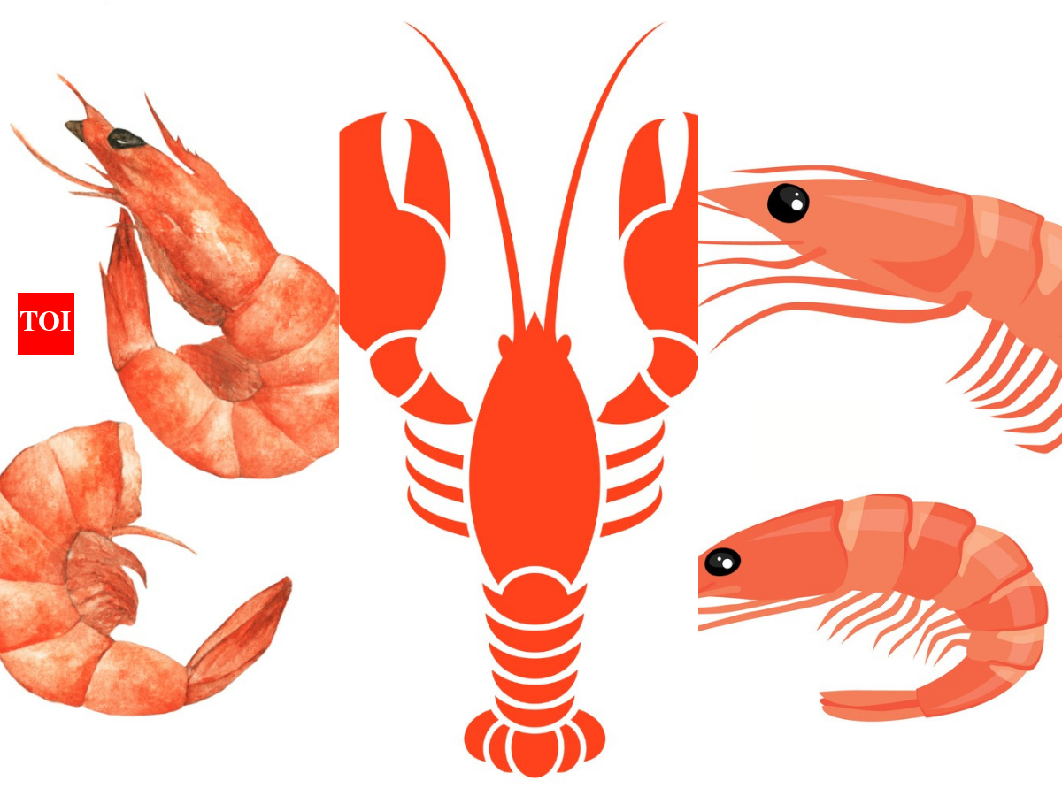 difference between prawn and shrimp