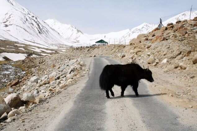 Chinese soldiers pitch seven tents in Chumar, stand-off continues ...