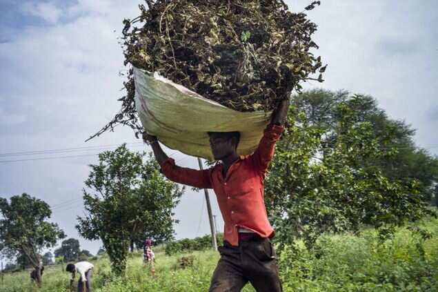 Unheeding system forcing India’s youth into low-paying jobs | India ...