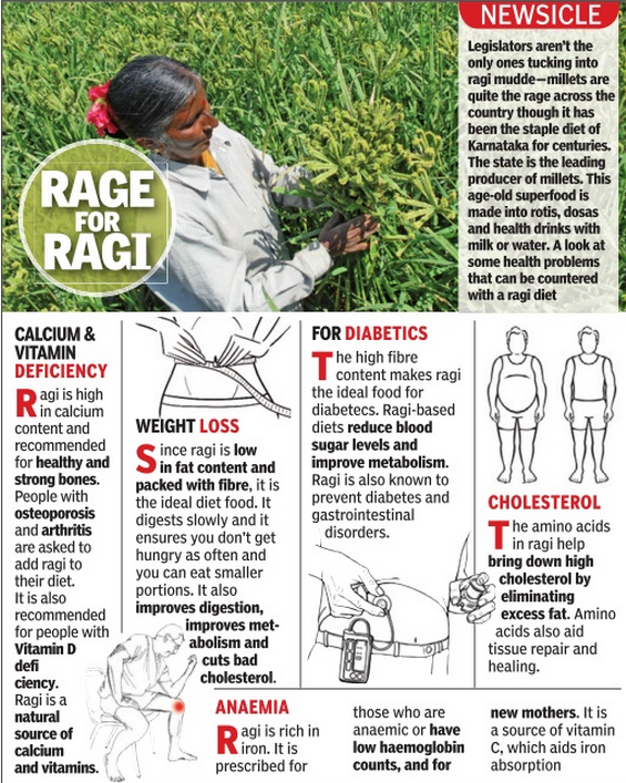 Ragi Mudde Nutrition Facts | Besto Blog